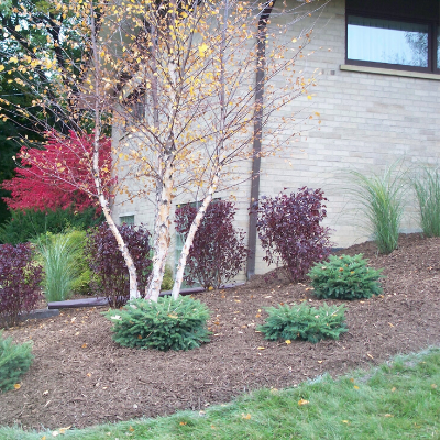 Landscape Design Tips - English Gardens