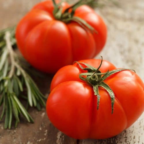 Get Chef Jeff “Beefmaster” Tomato in MI at English Gardens Nurseries ...