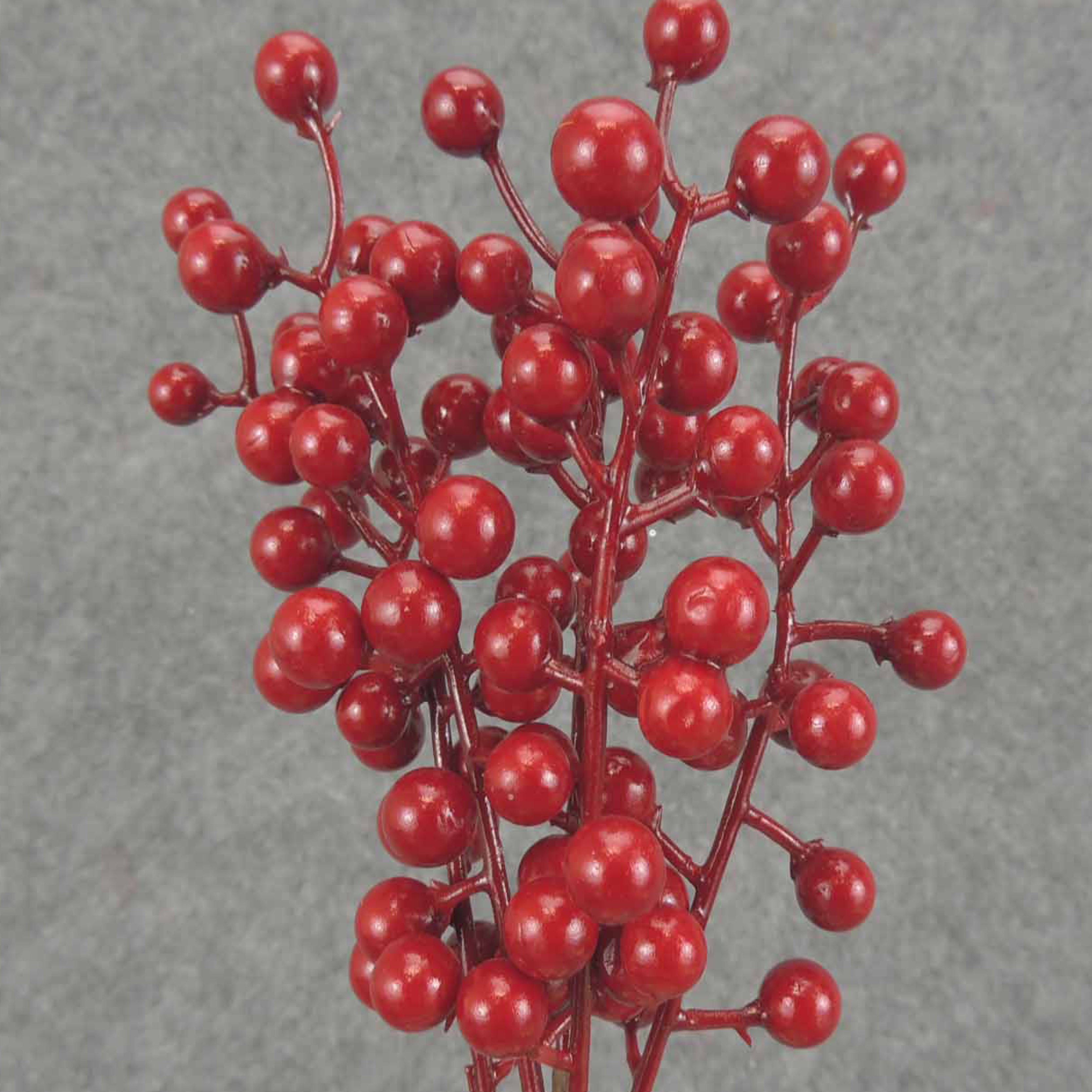 Get Red Berry Bundle in MI at English Gardens Nurseries | Serving ...