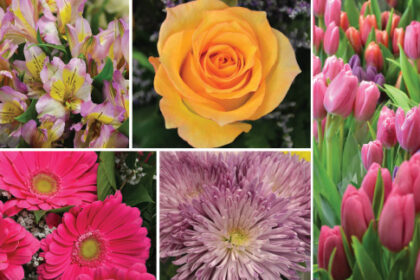 7 Tips to Keep Cut Flowers Fresh – English Gardens