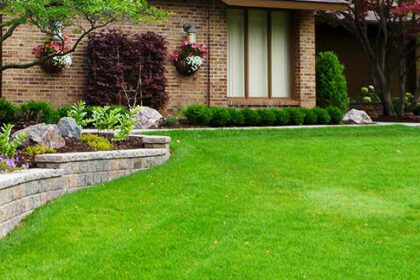 Tips to Keep Your Lawn Healthy – English Gardens