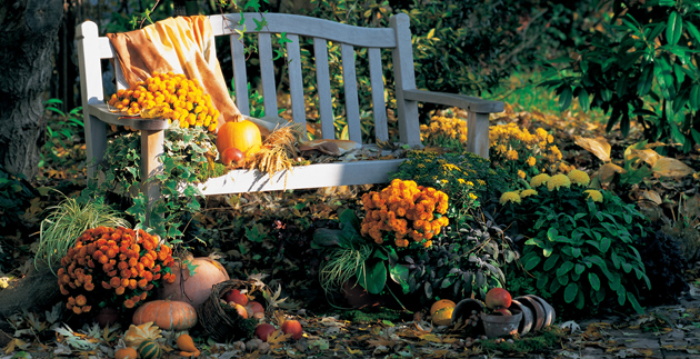 Festive Fall Events at English Gardens - English Gardens