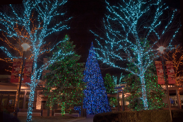 Project Spotlight: The Mall at Partridge Creek - English Gardens