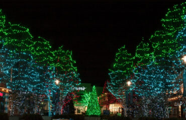 Pantone Greenery: How to use Greens in Your Holiday Decor – English Gardens