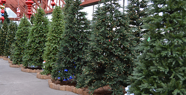 4 Steps to Store Your Life-Like Tree - English Gardens