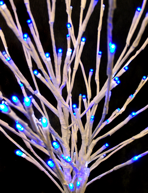 Light Burst Ground Stake