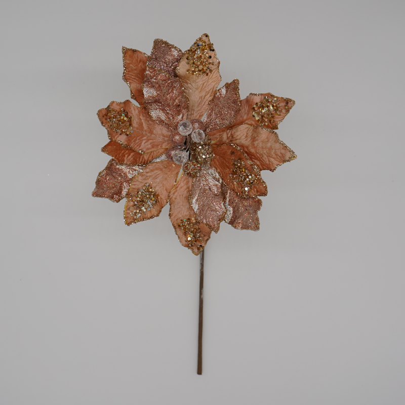 Get Rose Gold Poinsettia in MI at English Gardens Nurseries | Serving ...