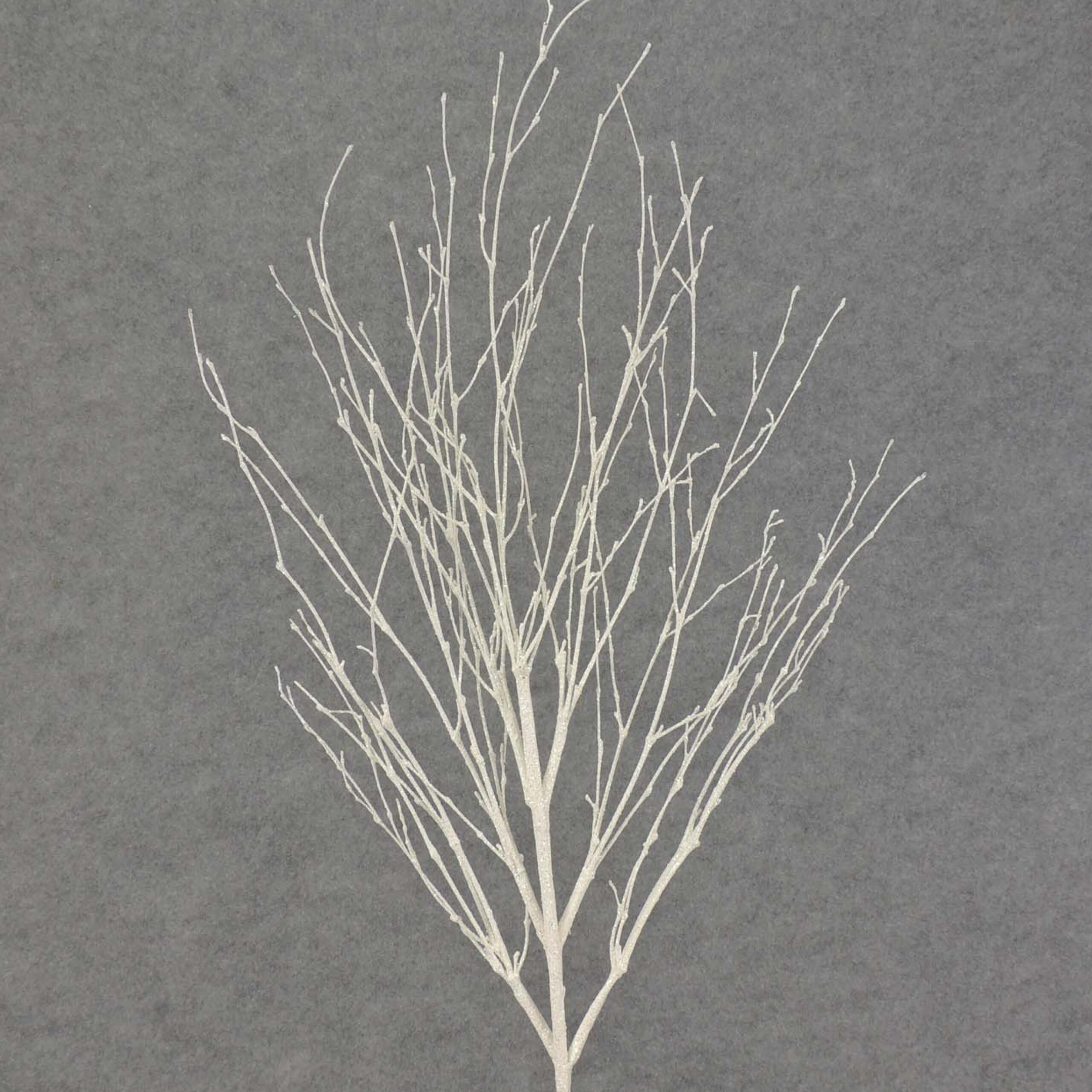 60161-Christmas-Silk-White-Glitter-Twig-1 | English Gardens