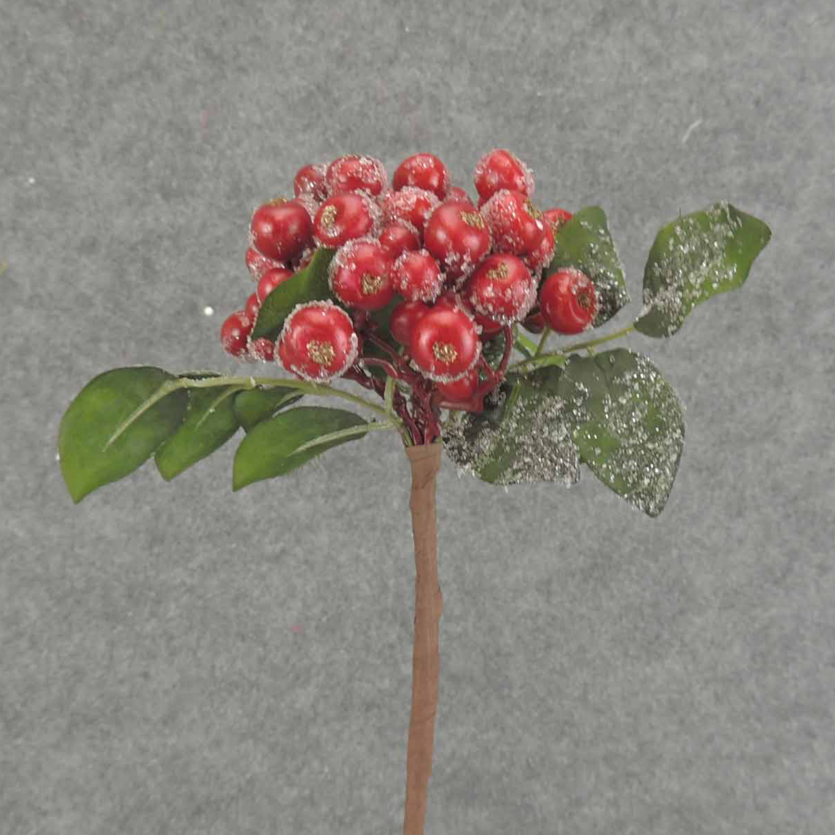 Get Red Ice Berry Pick in MI at English Gardens Nurseries | Serving ...