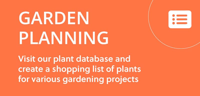 APP-Button-Garden-Planning-Summer | English Gardens