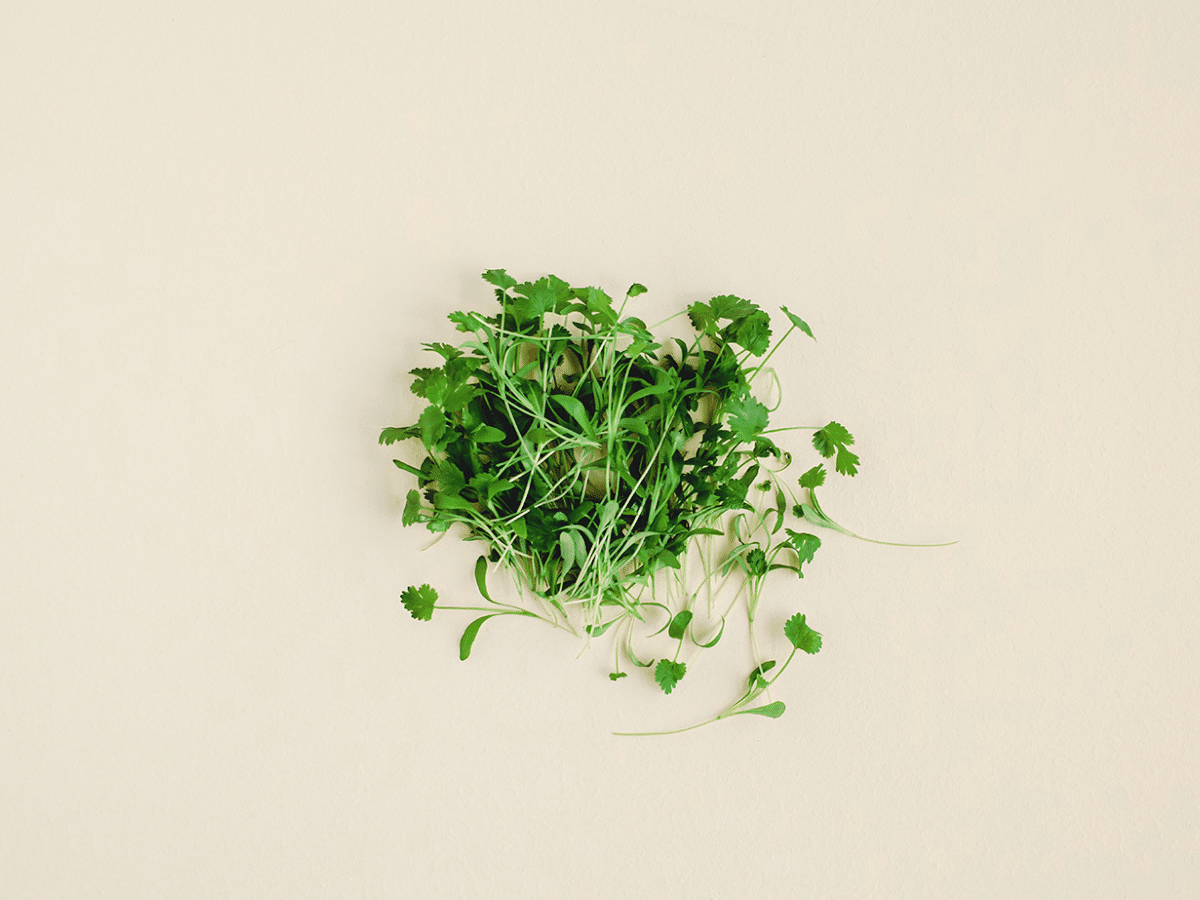 Microgreens