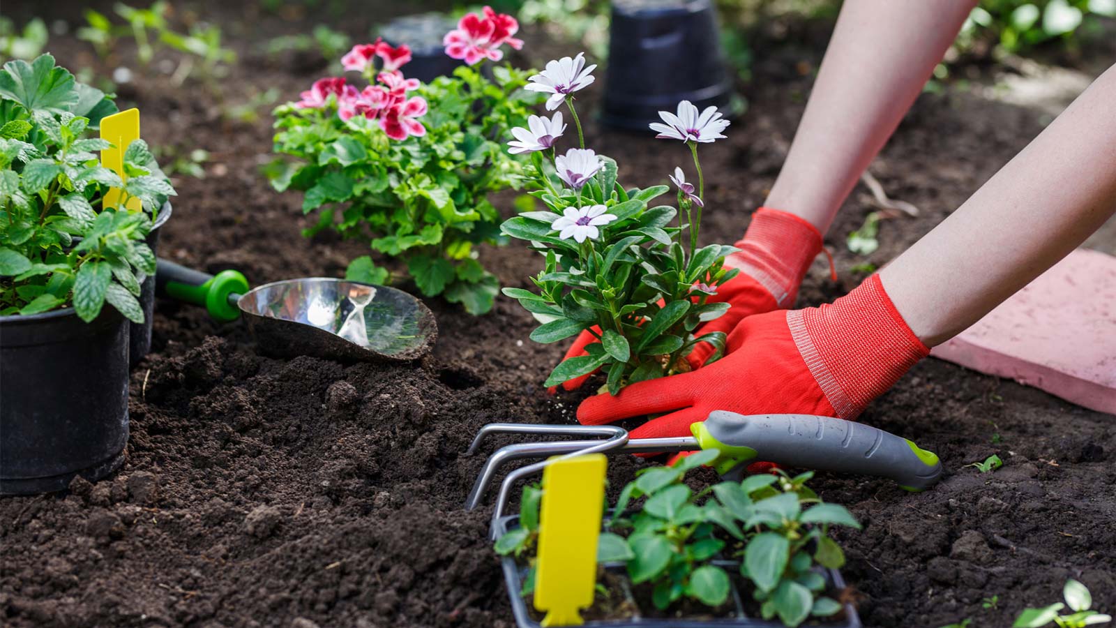 English-Gardens-Spring-Flowers - English Gardens