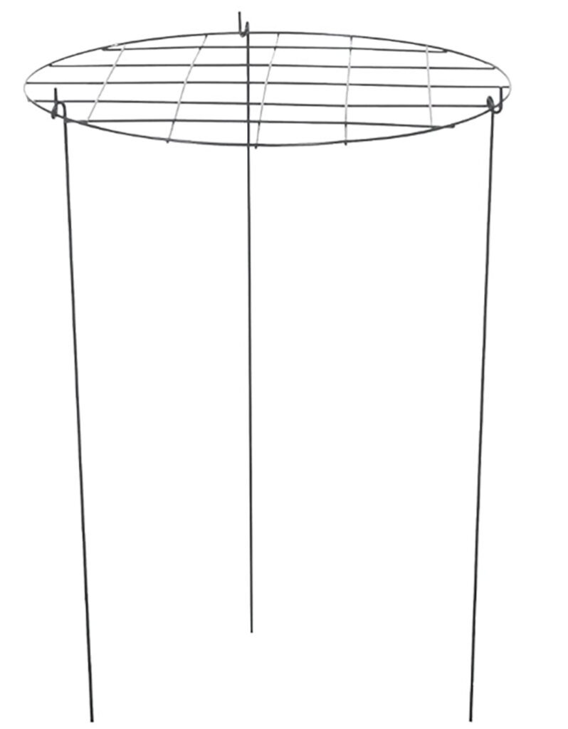 Get 14 Inch Grow Through Ring in MI at English Gardens Nurseries ...