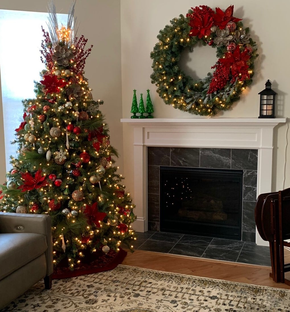 Interior-Tree-(6) | English Gardens