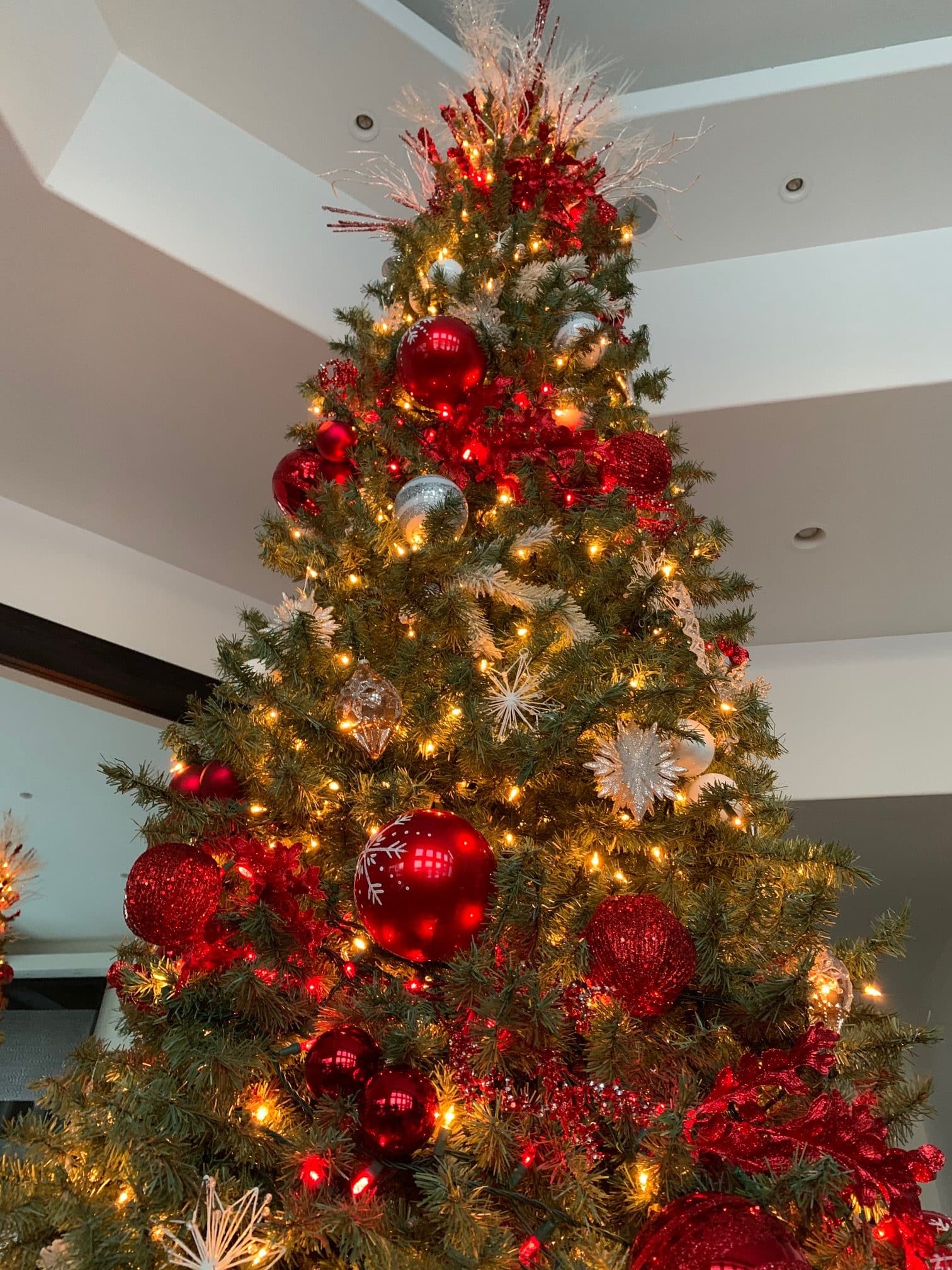 Interior-Tree-(6) | English Gardens