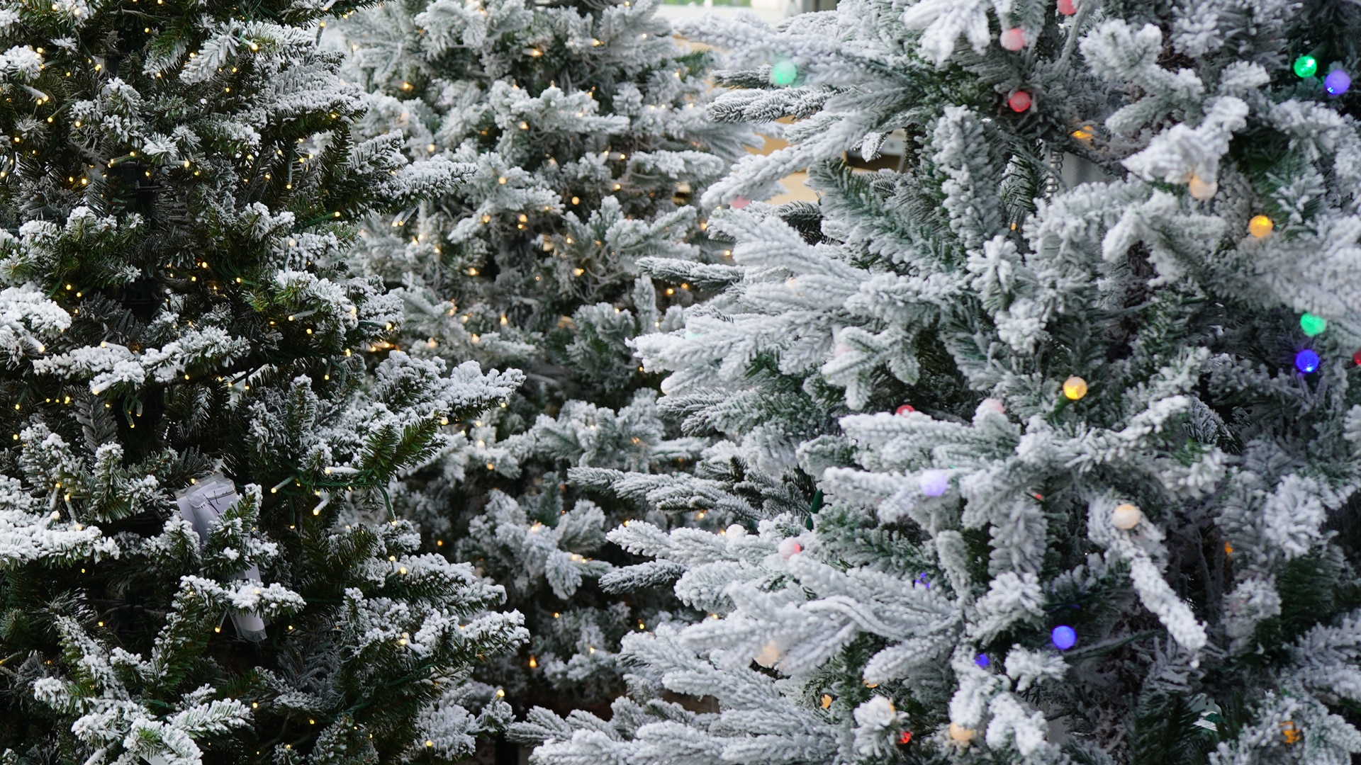 Life-Like Trees Sale A - English Gardens