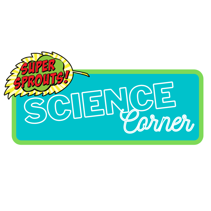 SS Science Corner - English Gardens