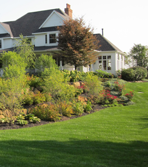 lawn_1 | English Gardens