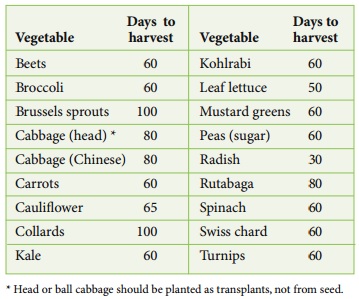 Planting Veggies for the Fall - English Gardens