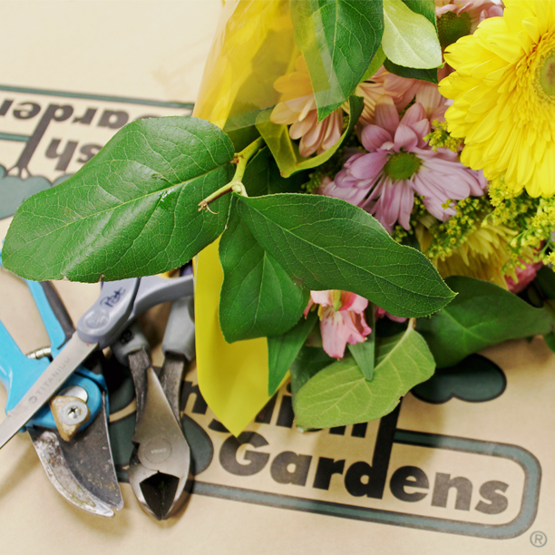 Bouquet Basics: Creating the Perfect Floral Arrangement - English Gardens