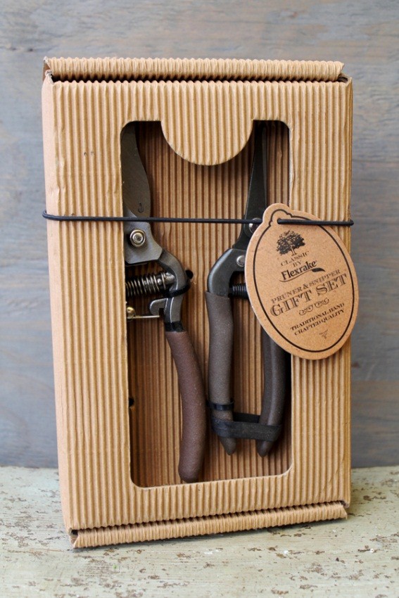 Beyond Roses: Valentine’s Day Gifts that are Anything but Ordinary ...