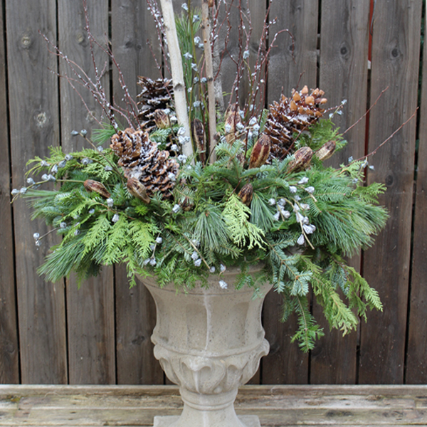 Evergreen Container Gardens & Planters