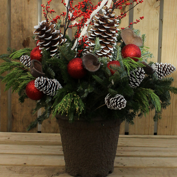 Evergreen Container Gardens & Planters