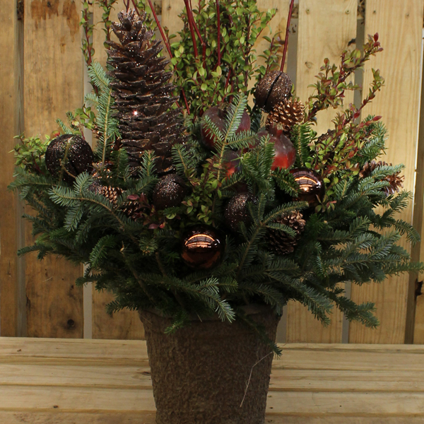 Evergreen Container Gardens & Planters